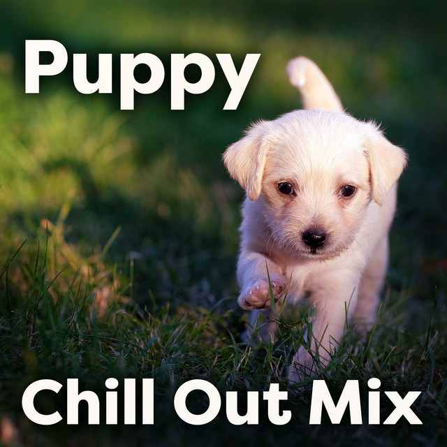 Puppy Chill Out Mix - Album by Dog Chill Out Music | Spotify