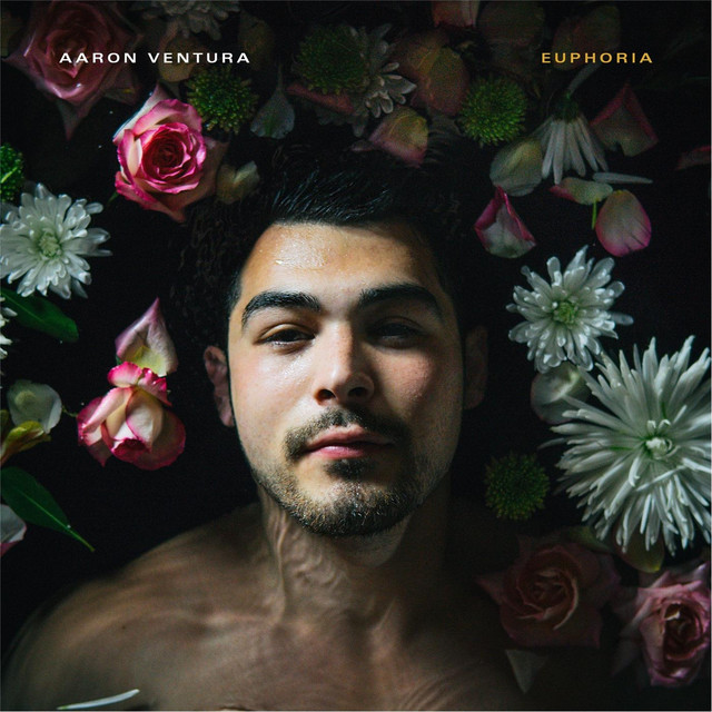Euphoria - Album by Aaron Ventura | Spotify