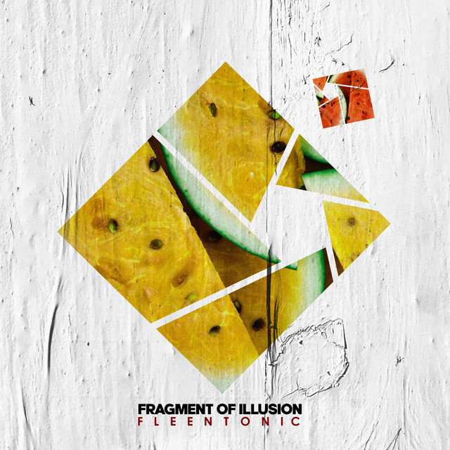 Fragment Of Illusion - Album by Fleentonic | Spotify