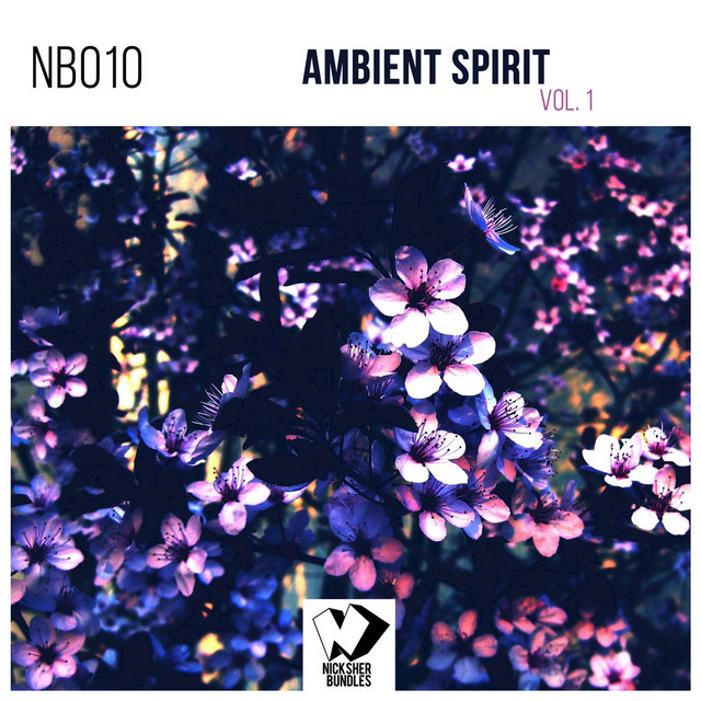 Ambient Spirit, Vol. 1 - Compilation by Various Artists | Spotify