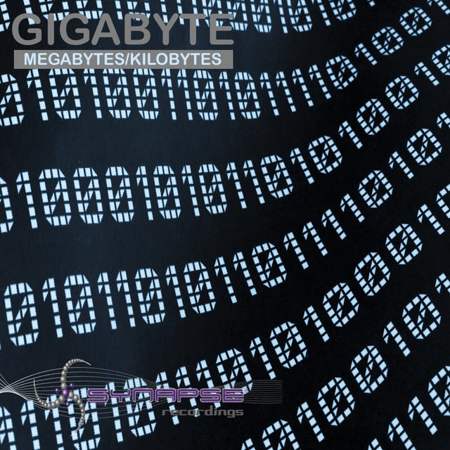 Megabytes Kilobytes Single By Gigabyte Spotify