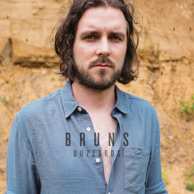 Buzzards - song and lyrics by Bruns | Spotify