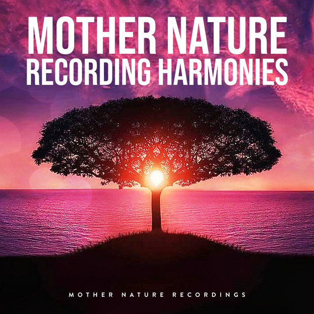 Mother Nature Recording Harmonies - Album by Mother Nature Recordings ...