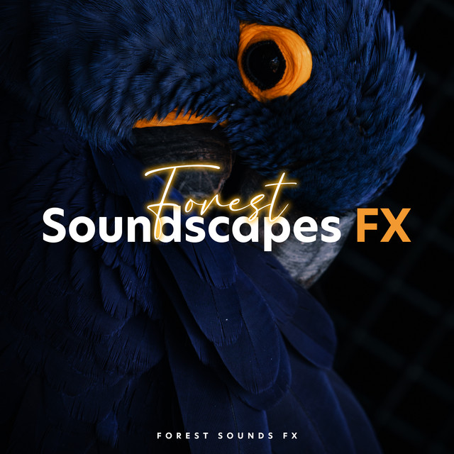 Forest Soundscapes FX - Album by Forest Sounds FX | Spotify