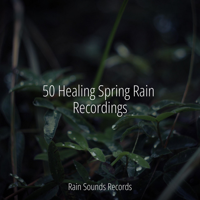 50 Healing Spring Rain Recordings - Album by Weather Factory | Spotify