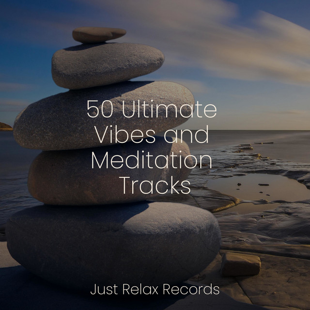 50 Ultimate Vibes and Meditation Tracks - Album by Binaural Beats ...