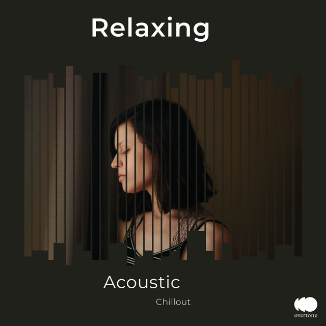 zZz Relaxing Acoustic Chillout zZz - Album by Just Relax Music Universe ...