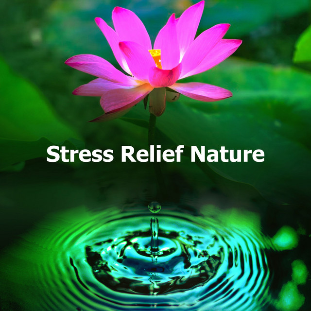 Stress Relief Nature - Album by Sonidos Naturaleza | Spotify