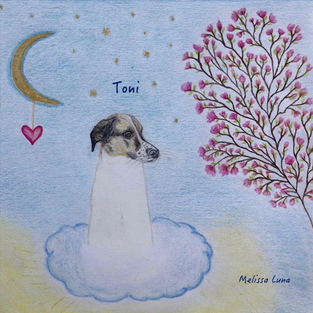 Toni - Single by Melissa Luna | Spotify