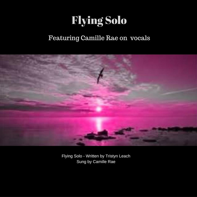 Flying Solo (feat. Camille Rae) - Single by Tristyn Leach | Spotify