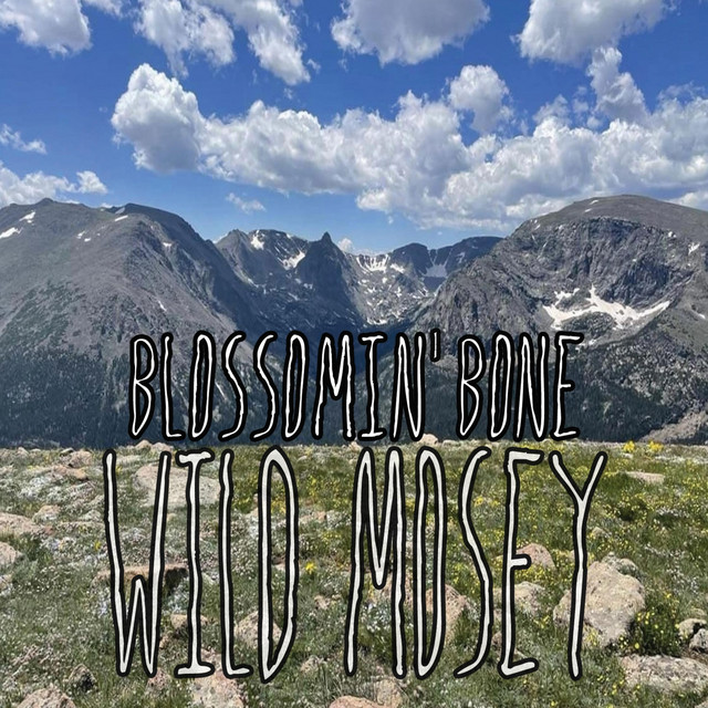 Wild Mosey - Album by Blossomin' Bone | Spotify