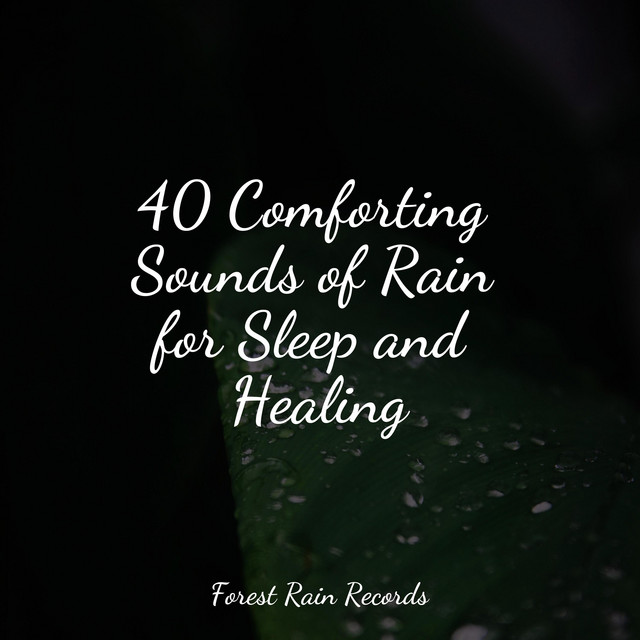 40 Comforting Sounds of Rain for Sleep and Healing - Album by Sounds Of ...