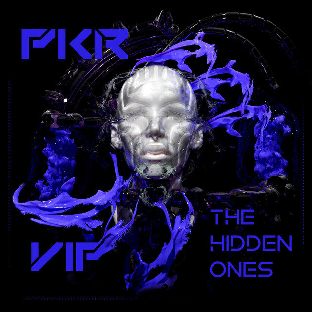 The Hidden Ones VIP - Single by PKR | Spotify