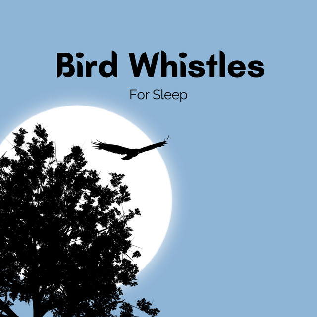 Bird Whistles- For Sleep - Album by Natural Sounds | Spotify