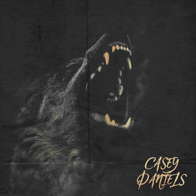 Casey Daniels - Album by Casey Daniels Band | Spotify