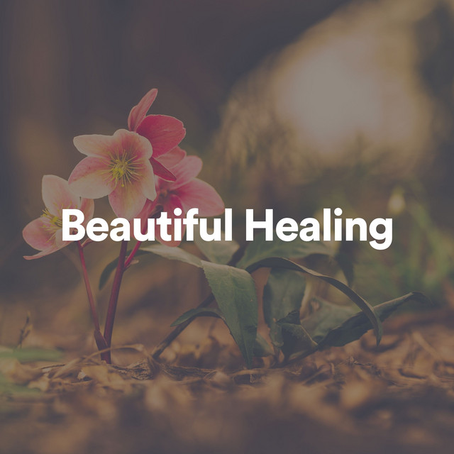 Beautiful Healing - Album by Healing Music Spirit | Spotify