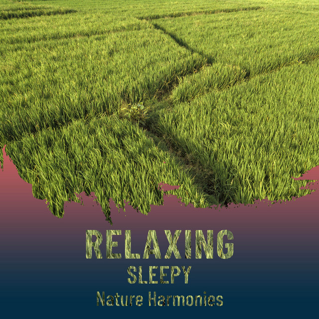 zZz Relaxing Sleepy Nature Harmonies zZz - Album by Nature & Sounds ...