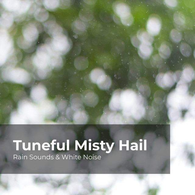 Tuneful Misty Hail - Album by Rain Sounds & White Noise | Spotify