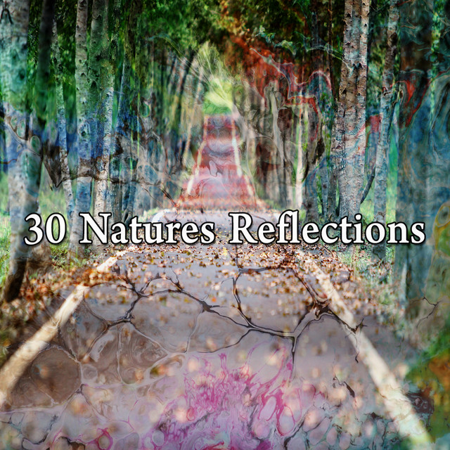 30 Natures Reflections - Album by Sound Library XL | Spotify