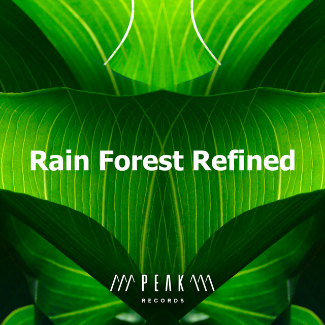 Unobtrusive Trackless - song and lyrics by Rain Forest | Spotify