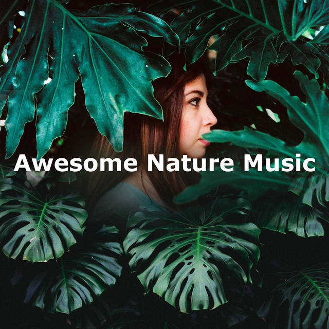 Awesome Nature Music - Album by Call Of Nature | Spotify