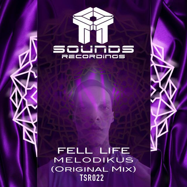Fell life - Single by Melodikus | Spotify