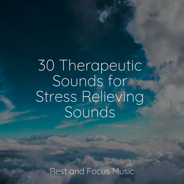 30 Therapeutic Sounds for Stress Relieving Sounds - Album by Deep Sleep ...