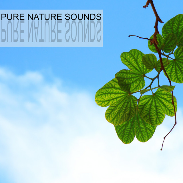 Pure Nature Sounds - Album by Nature Sounds | Spotify