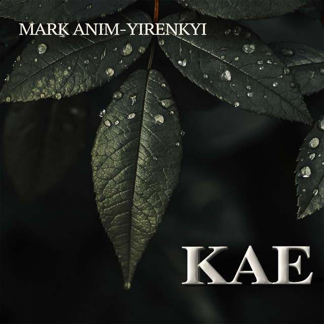 W'ahyira Me - song by Mark Anim Yirenkyi | Spotify
