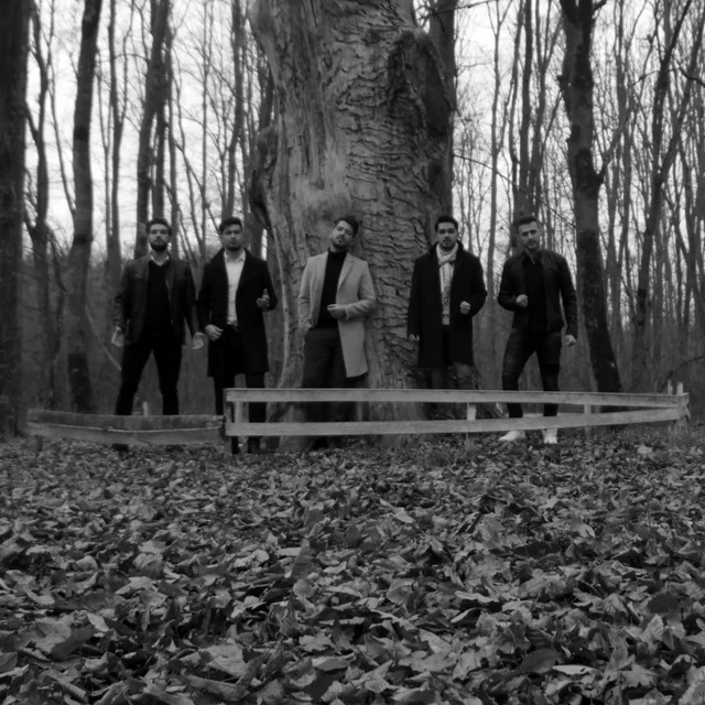 Brio Sonores | Spotify