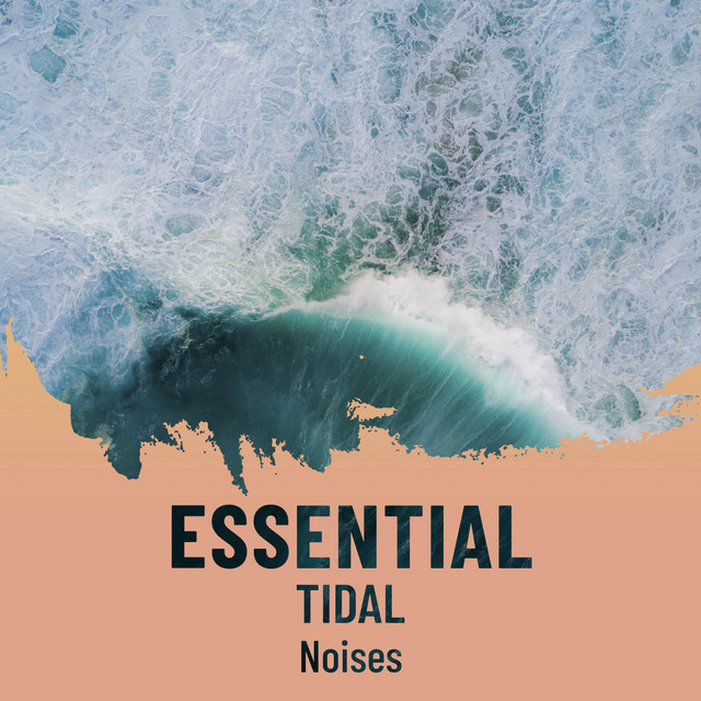 zZz Essential Tidal Noises zZz - Album by Calm Sea Sounds | Spotify