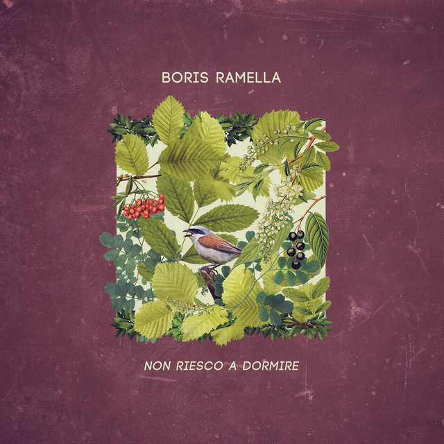 Non riesco a dormire - Album by Boris Ramella | Spotify