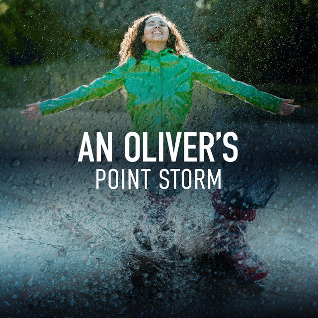 An Oliver's Point Storm - Album by Thunderstorm Sound Bank | Spotify