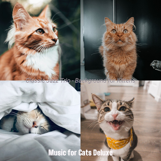 Classic Jazz Trio - Background for Kittens - Album by Music for Cats ...