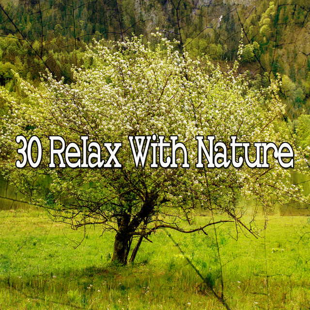 30 Relax With Nature - Album by Sleep Sounds of Nature | Spotify