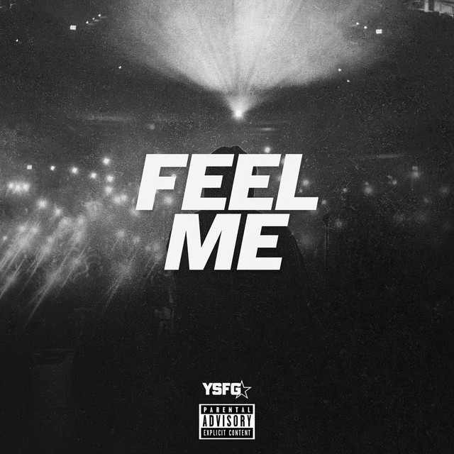 Feel Me - Single by YSFG BJ | Spotify