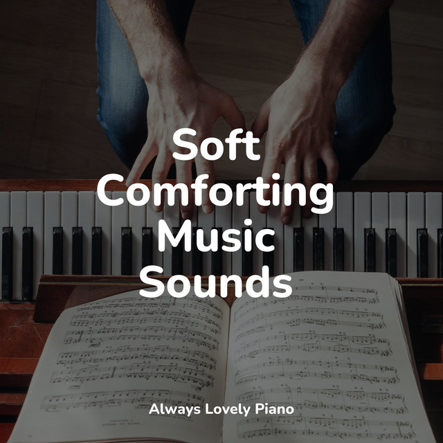 Soft Comforting Music Sounds - Album by Piano para Relaxar | Spotify