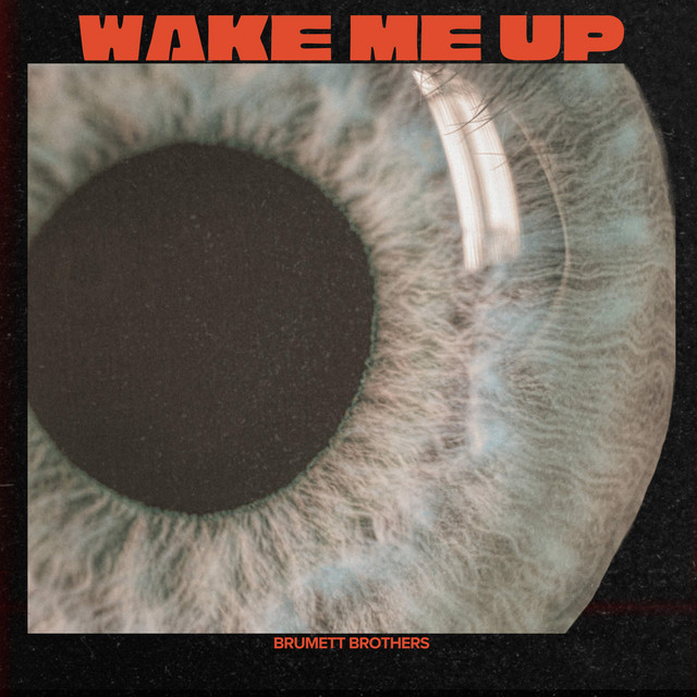 WAKE ME UP - song and lyrics by Brumett Brothers | Spotify