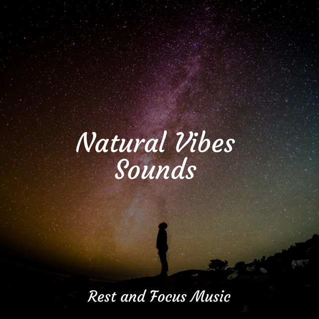 Natural Vibes Sounds - Album by Study Power | Spotify