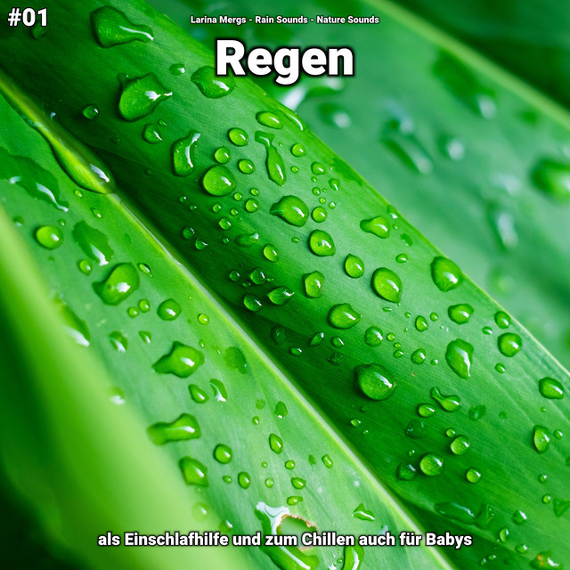 Regen, pt. 35 - song by Larina Mergs, Rain Sounds, Nature Sounds | Spotify