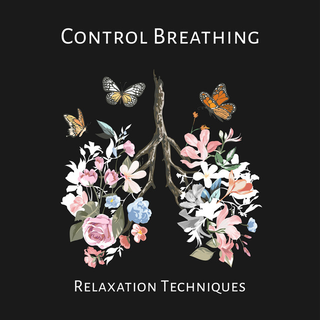 Control Breathing: Relaxation Techniques with Relaxation Music - Album ...