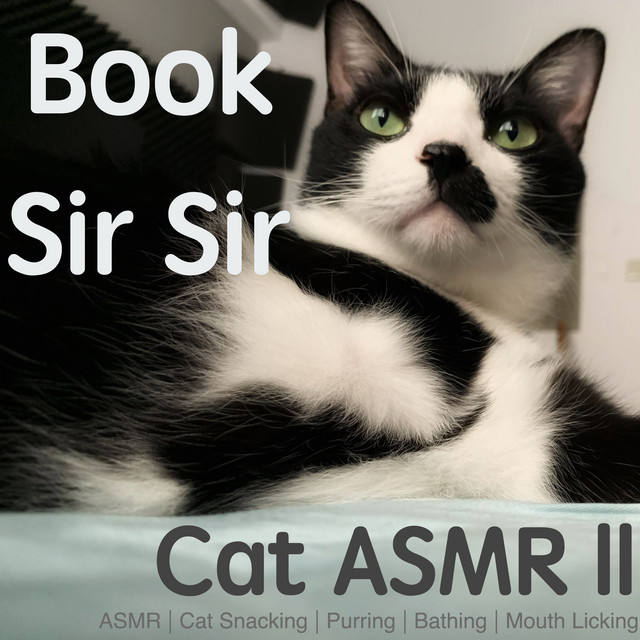 ASMR | Cat Snacking | Purring | Bathing | Mouth Licking - EP by Book ...