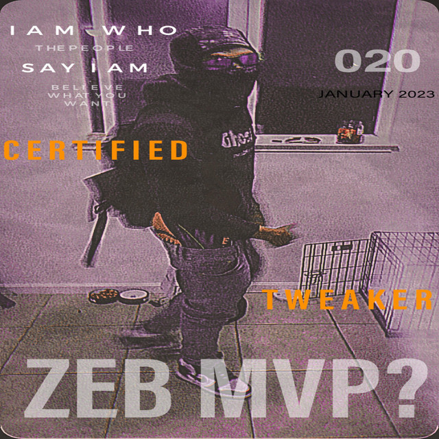 ZEB MVP???? - Album by Zebnigga | Spotify