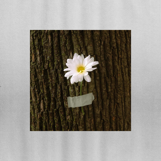 Collision Course - Album by Collidescope | Spotify