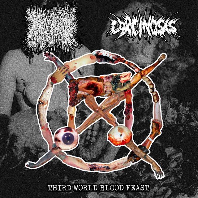 Third World Blood Feast /Split with Psychosomatic Putrefaction - Single ...