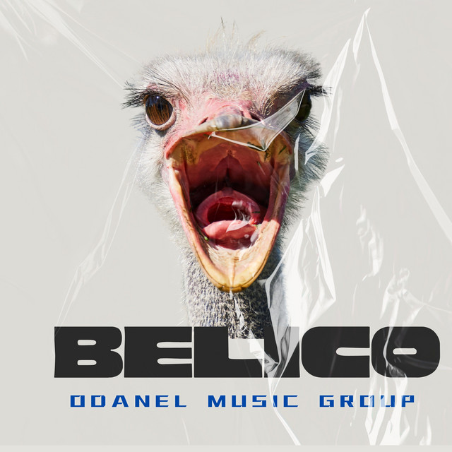 Odanel Music Group | Spotify