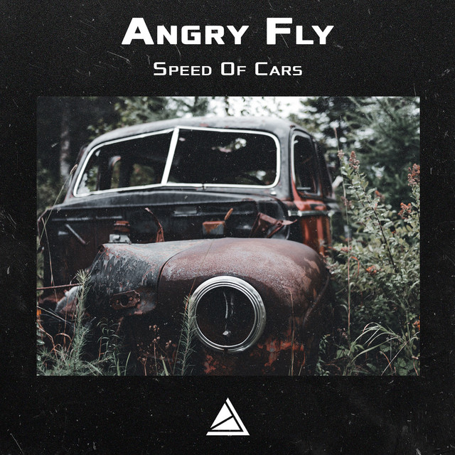 Speed of Cars - Single by Angry Fly | Spotify