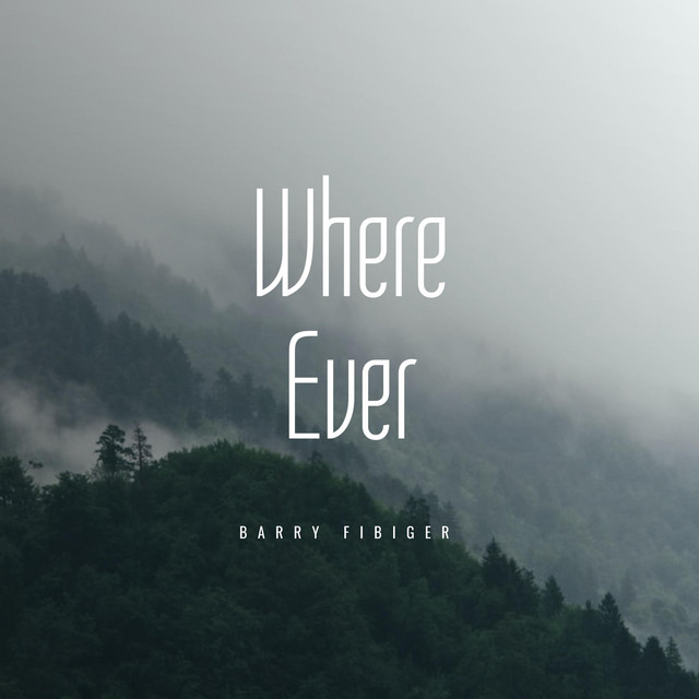 Where Ever - Single by Barry Fibiger | Spotify