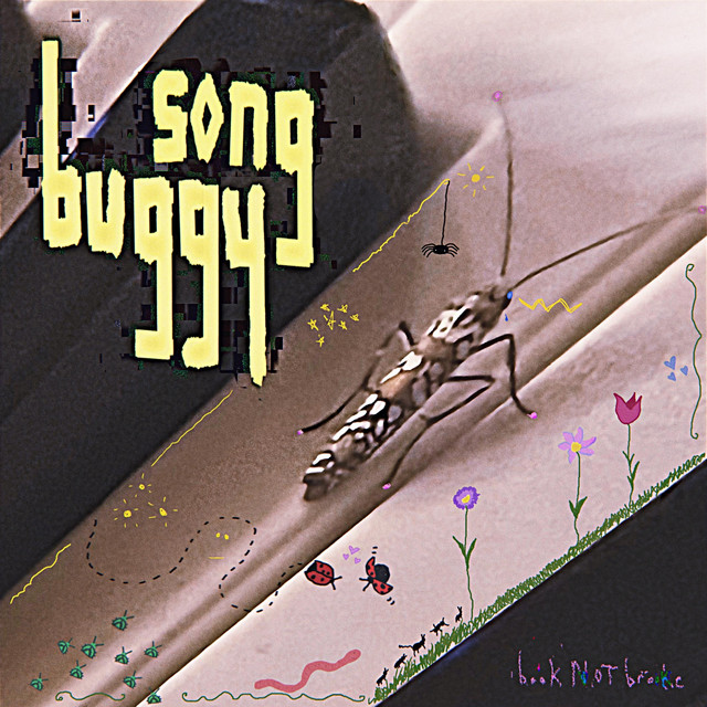 Buggy song - Single by book NOT brooke | Spotify