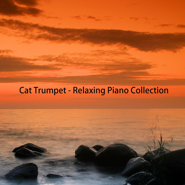 BPM and key for songs by Cat Trumpet | Tempo for Cat Trumpet songs ...